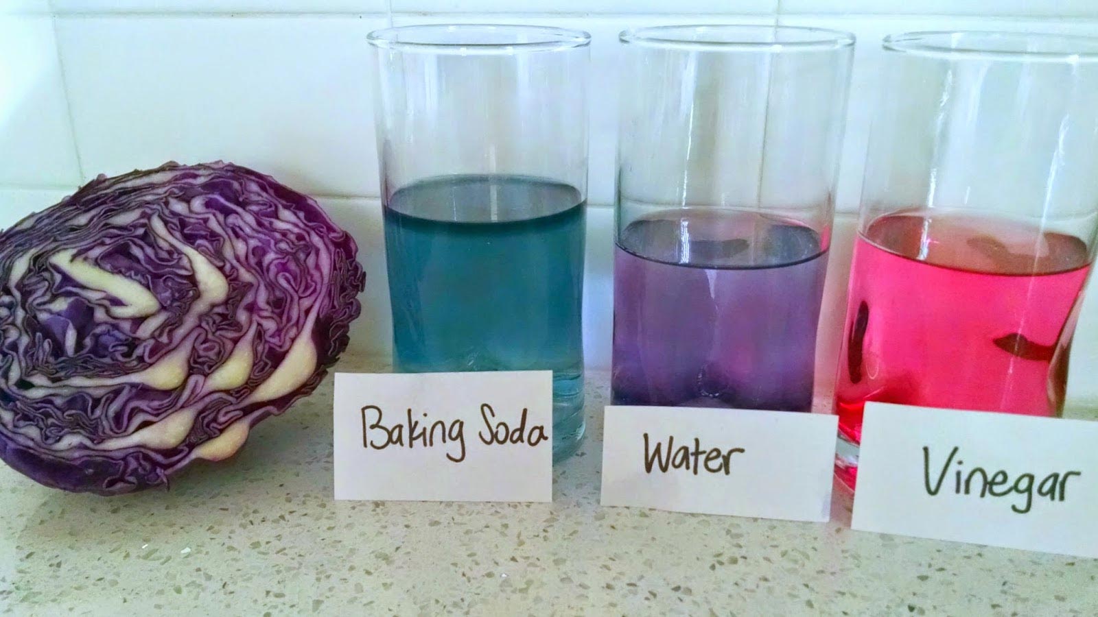 Red Cabbage PH Indicator Kitchen Chemistry For Kids Science Kiddo